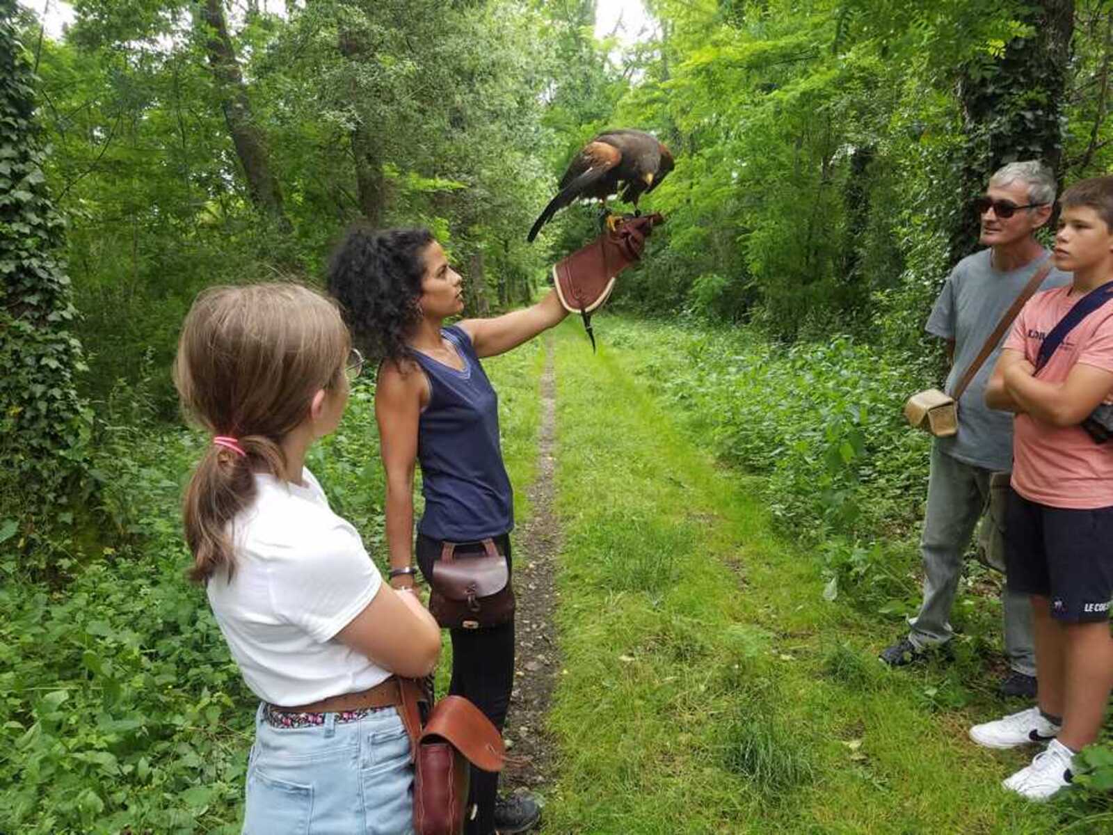 Initiation à la fauconnerie avec Equivol - Lessac